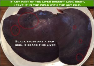 How to clean deer liver for cooking or freezing – Venison Thursday